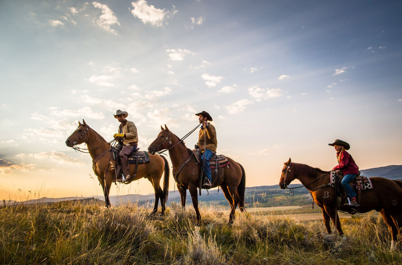 Our Story – Diamond Cross Ranch