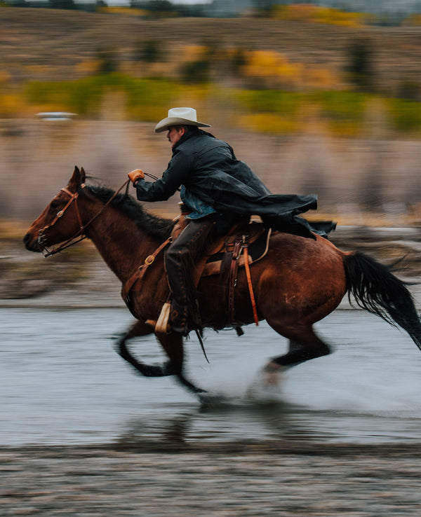 Diamond Cross Ranch | Jackson Hole's most iconic ranch since 1912