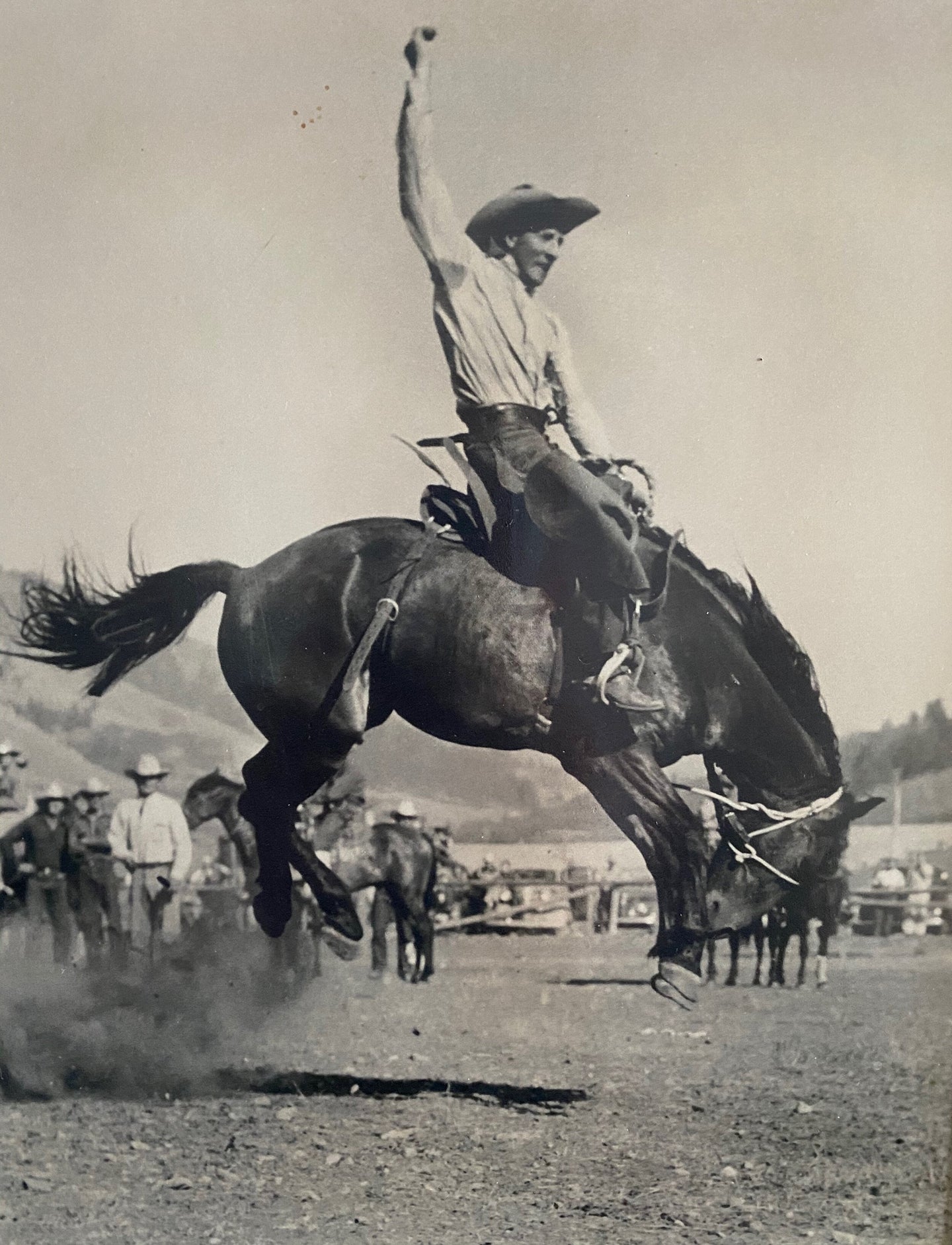 Our Story – Diamond Cross Ranch