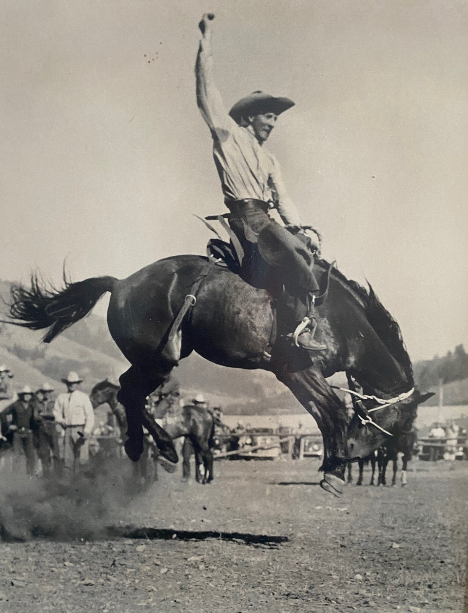 Our Story – Diamond Cross Ranch