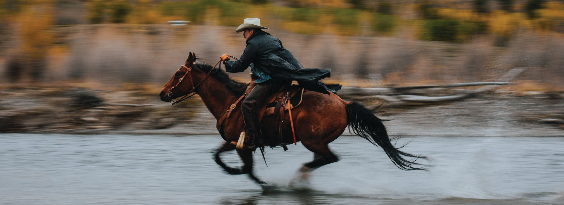 Diamond Cross Ranch | Jackson Hole's most iconic ranch since 1912