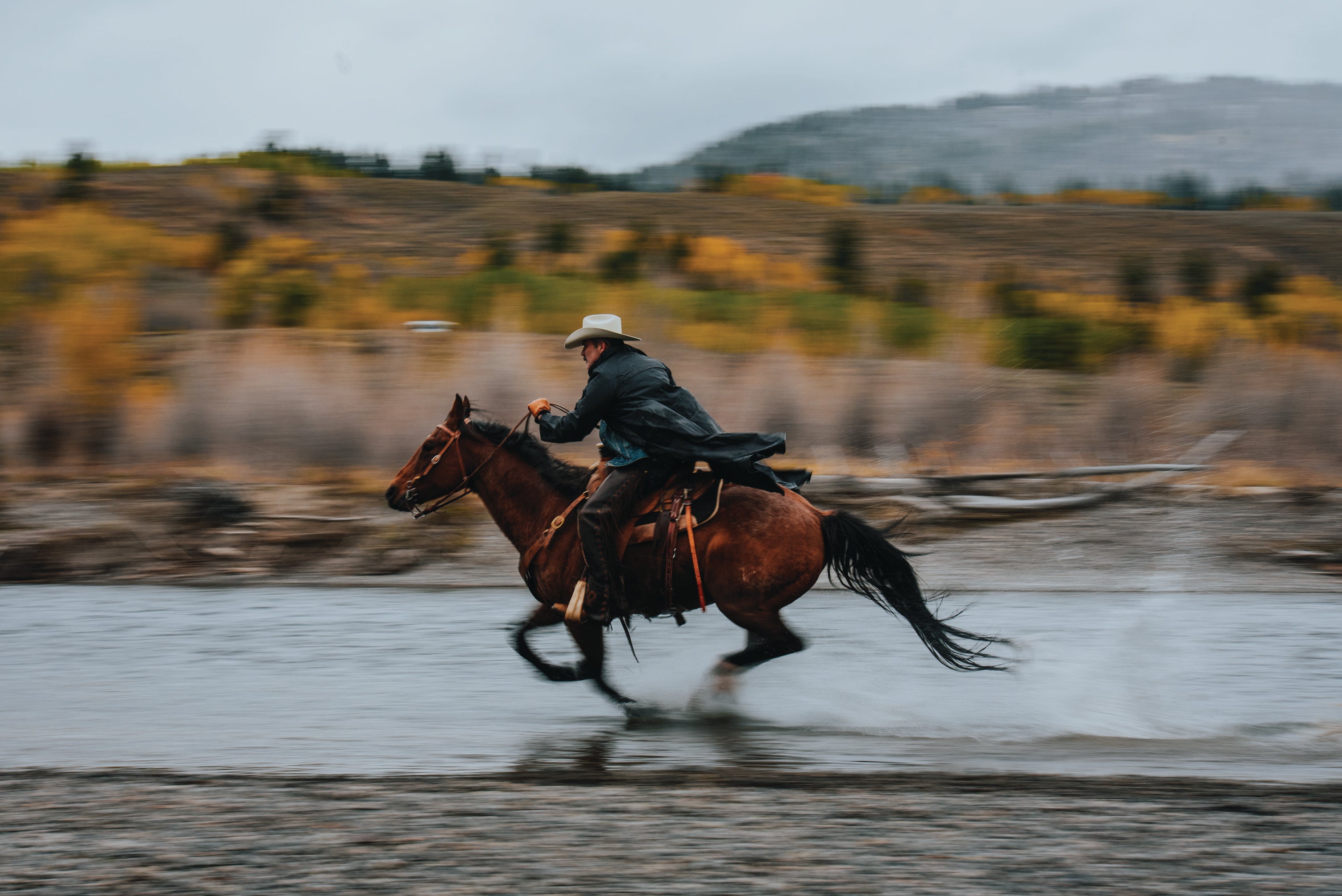 Diamond Cross Ranch | Jackson Hole's most iconic ranch since 1912