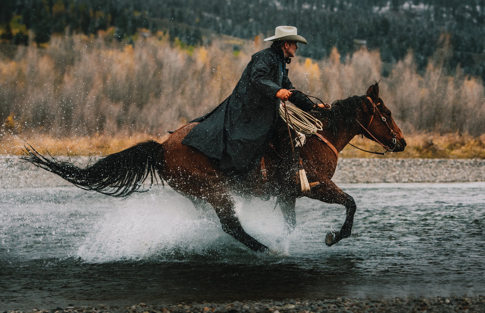 Diamond Cross Ranch | Jackson Hole's most iconic ranch since 1912