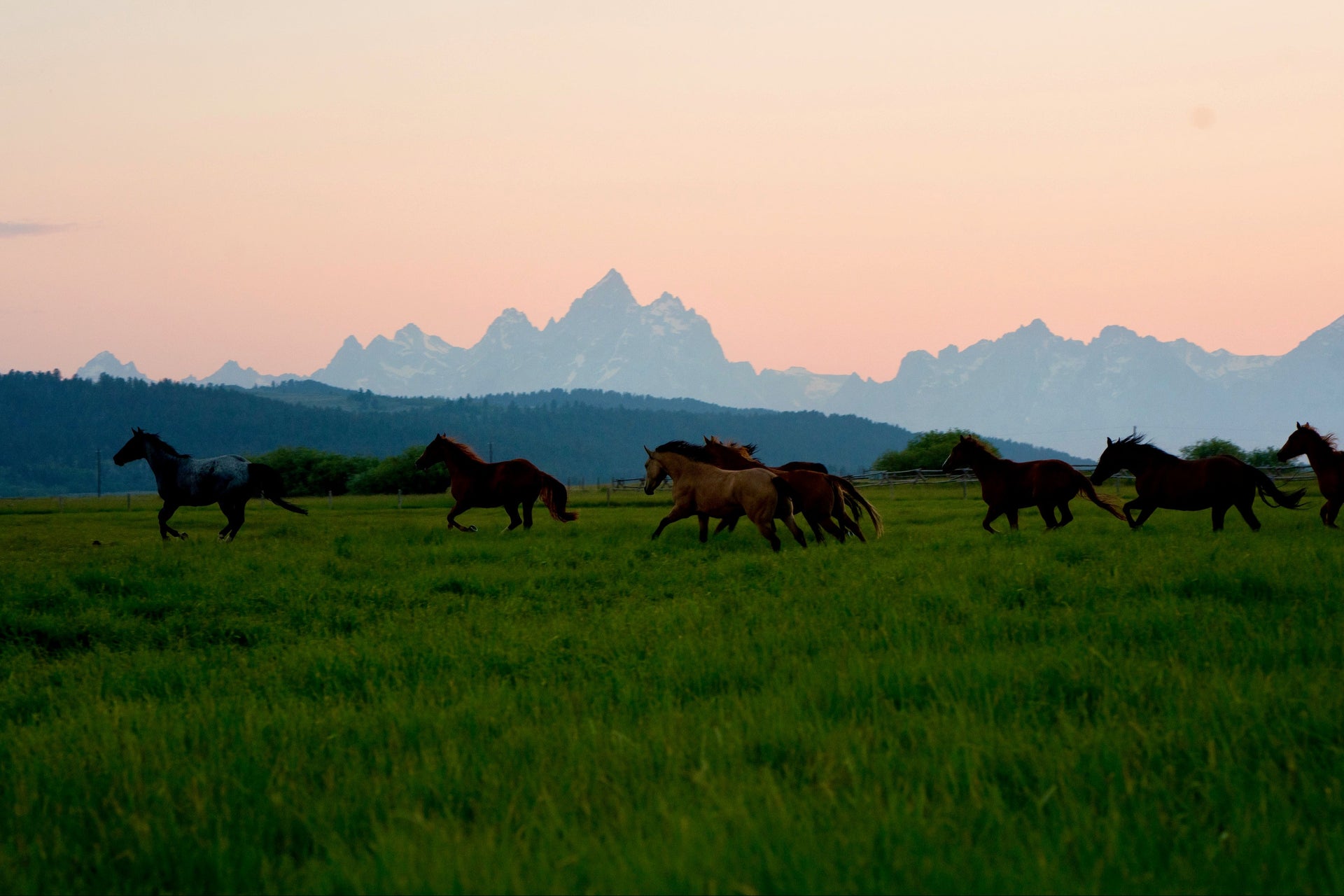 Diamond Cross Ranch | Jackson Hole's most iconic ranch since 1912