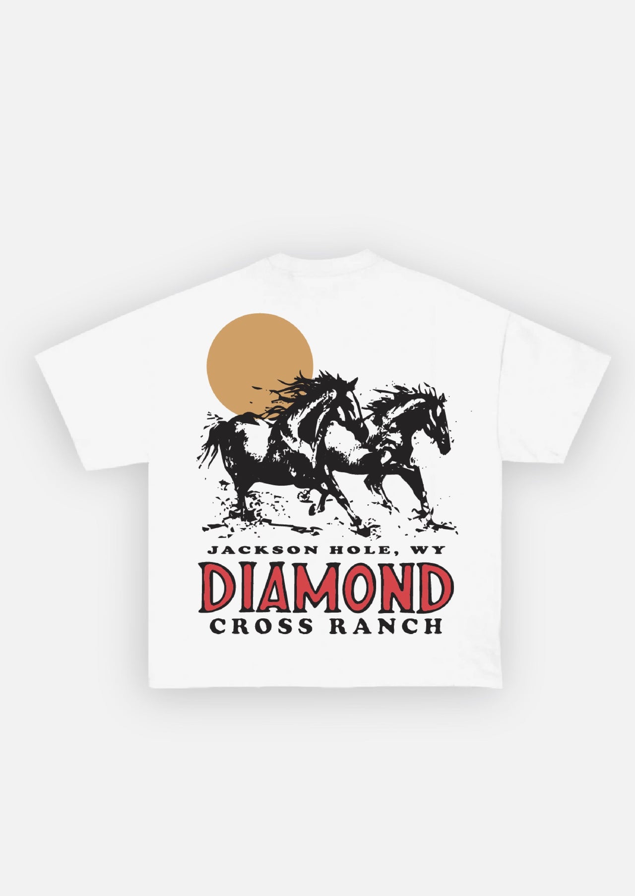 Diamond Cross Ranch | Jackson Hole's most iconic ranch since 1912